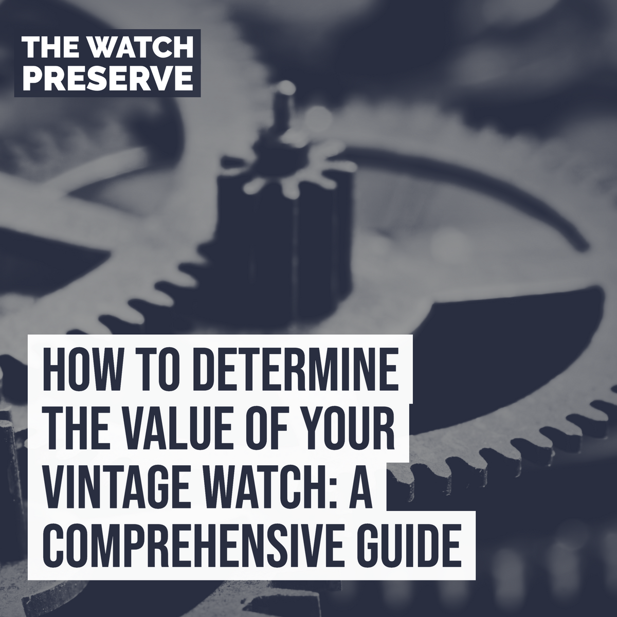 How to Determine the Value of Your Vintage Watch: A Comprehensive Guide ...